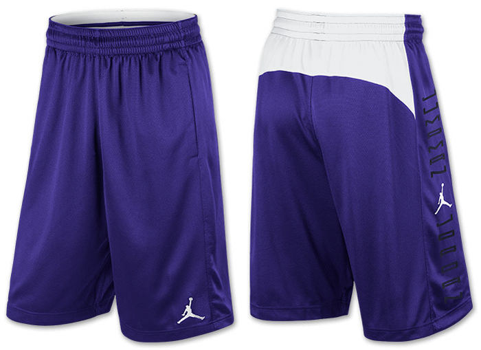 Air Jordan 11 Concord Shorts | SportFits.com