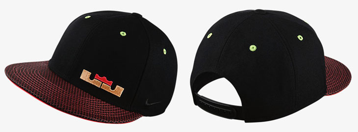 Nike LEBRON 12 Data Hat | SportFits.com