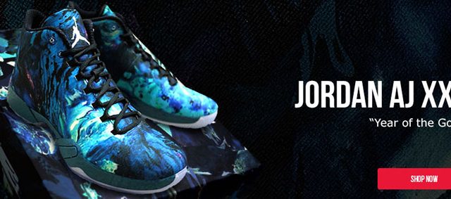 Air Jordan XX9 Year of the Goat Now Available | SportFits.com