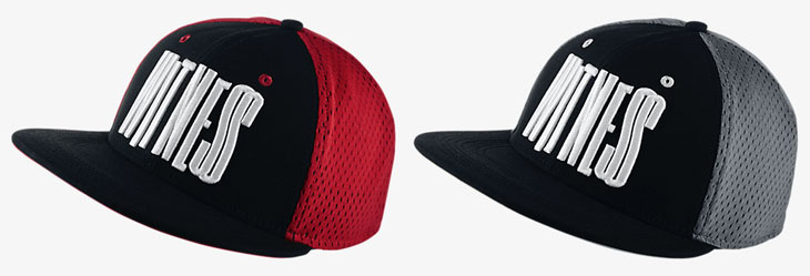 Nike LeBron Witness Performance Hat | SportFits.com