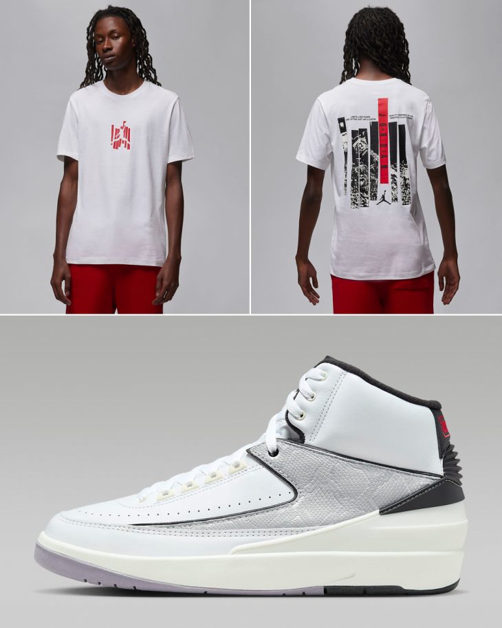 Air Jordan 2 Python Shirts to Match
